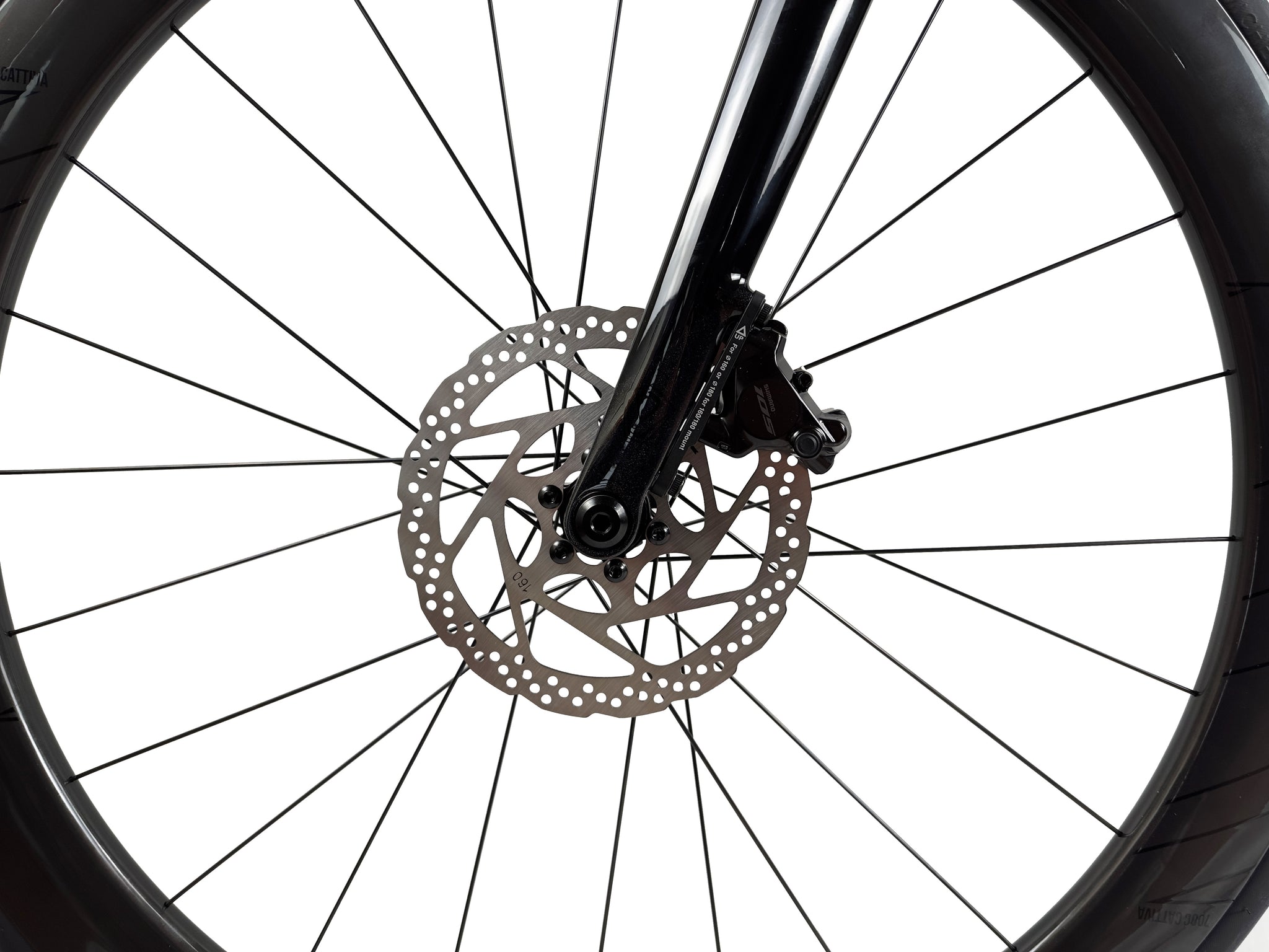 VESUVIO 105 Di2 – Java Bikes Mexico